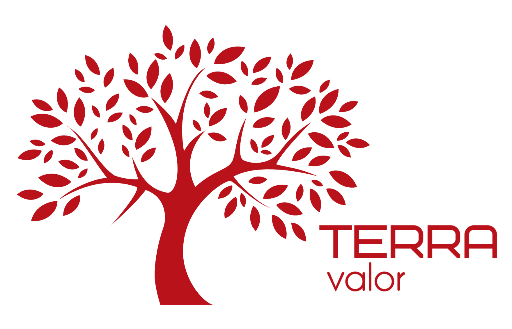 Terra Valor Terra Valor